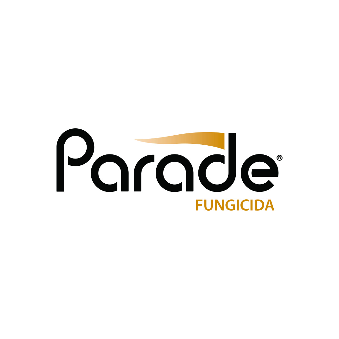Parade 22 SC – Nichino Andica